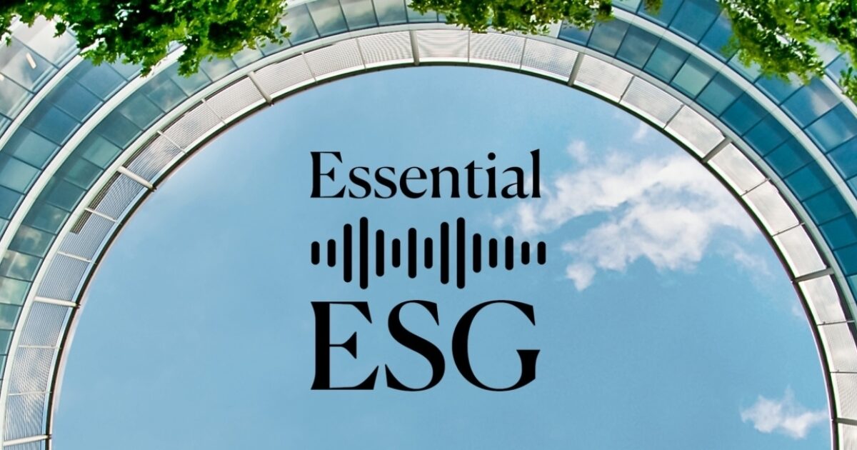 ESSENTIAL ESG SPECIAL EDITION - The hidden infrastructure of AI ...